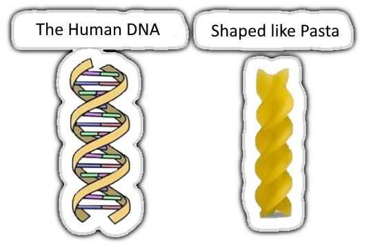 Is the Flying Spaghetti Monster the truth? - LeRattus